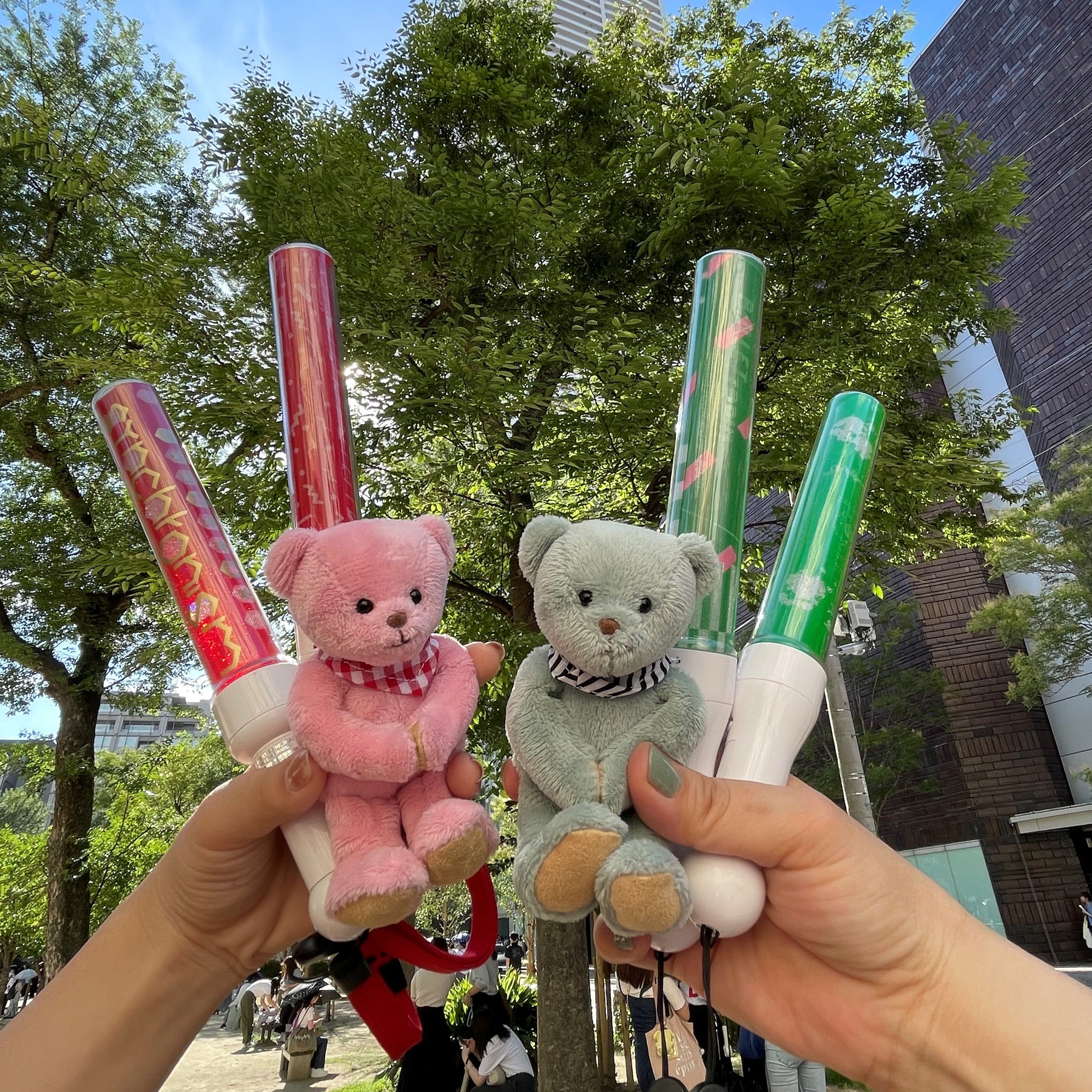 My Birthday Teddy Bear TB – Teddy Bear Life