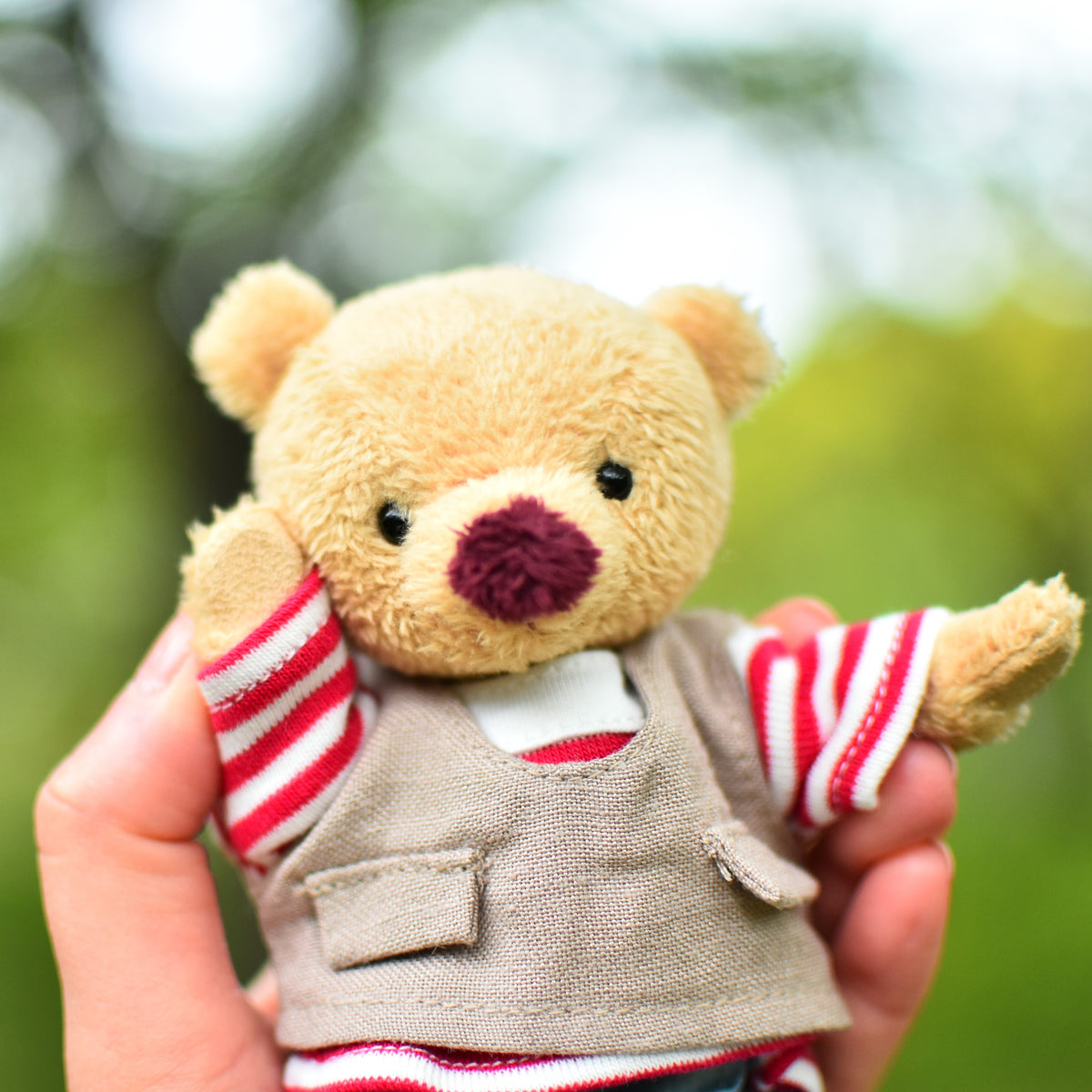 Teddy Bear KUU – Teddy Bear Life