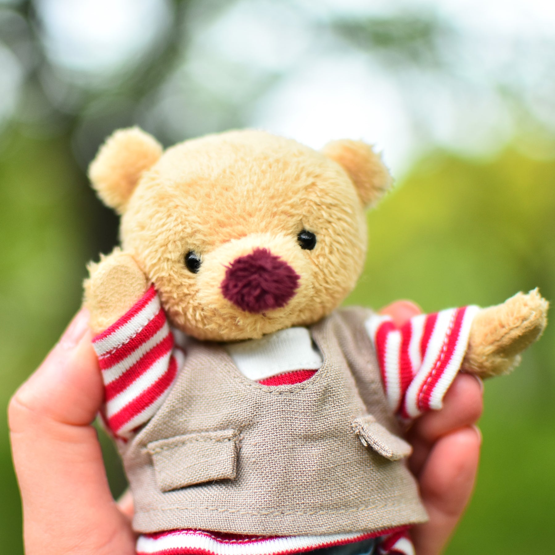 My Birthday Bear KUU – Teddy Bear Life
