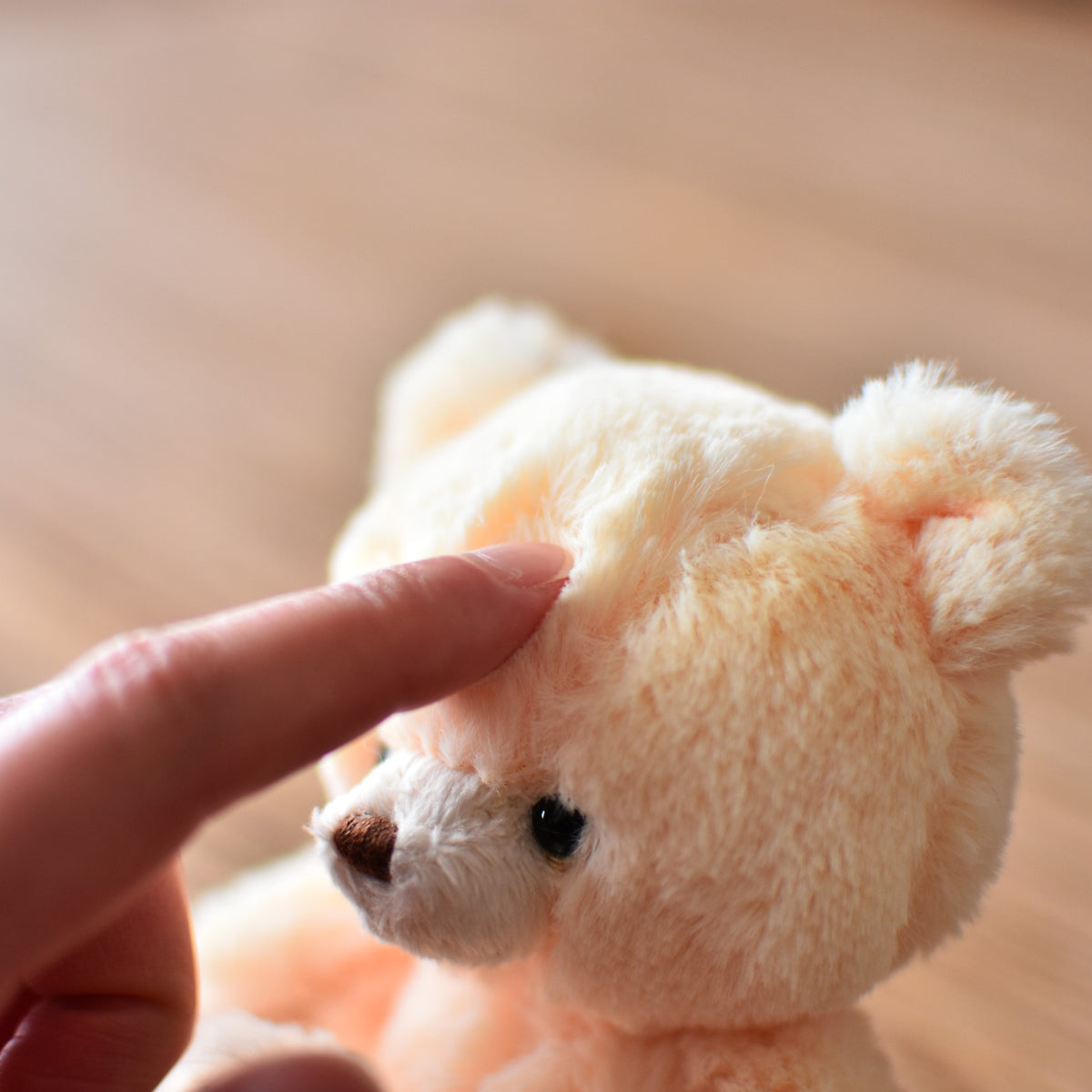 Personalized Moco Bear - One Print – TeddyBear Life