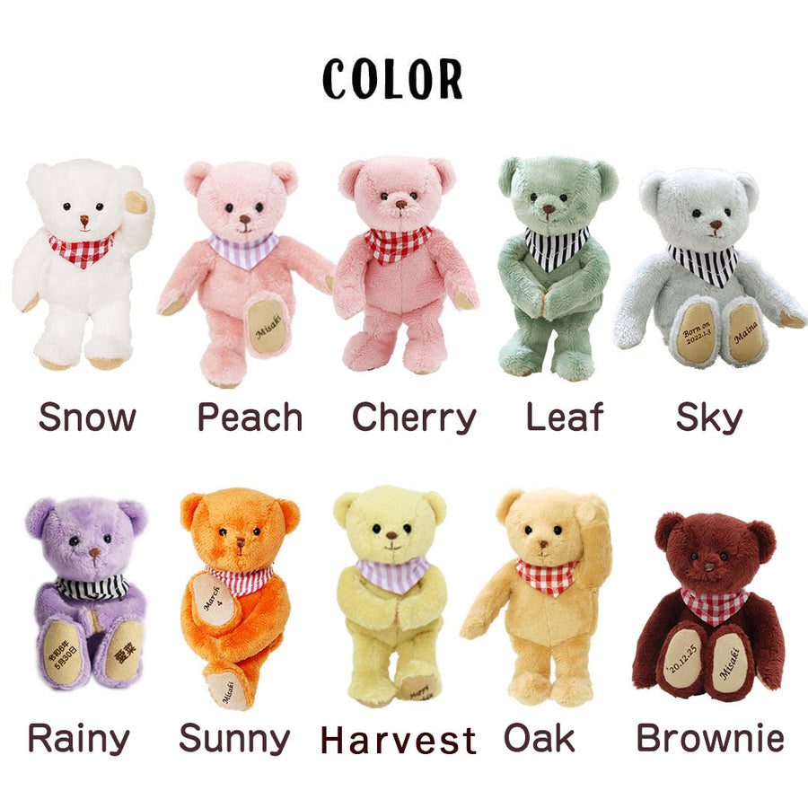My Birthday Teddy Bear TB – Teddy Bear Life