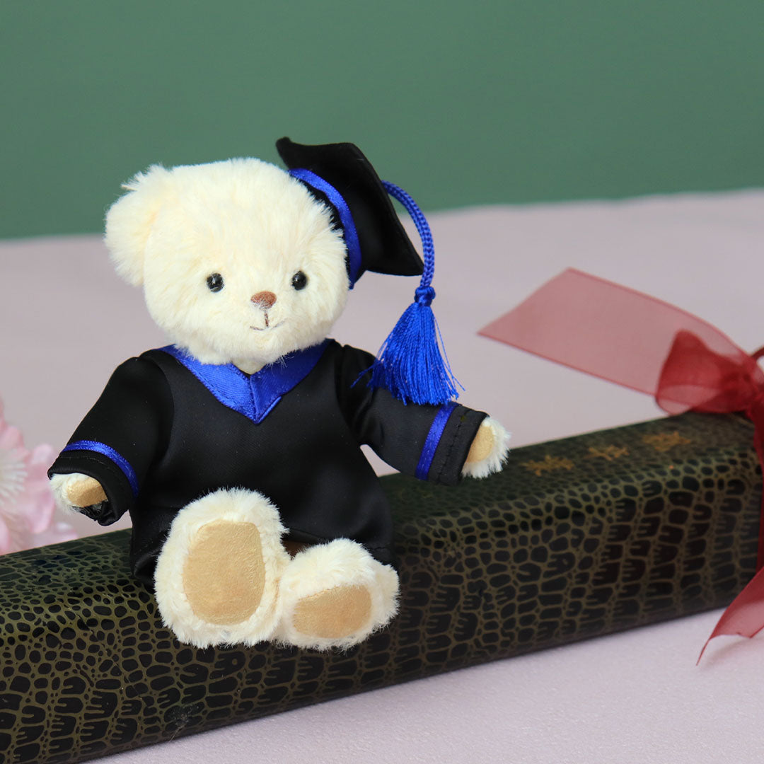 Graduation Teddy Bear – Teddy Bear Life