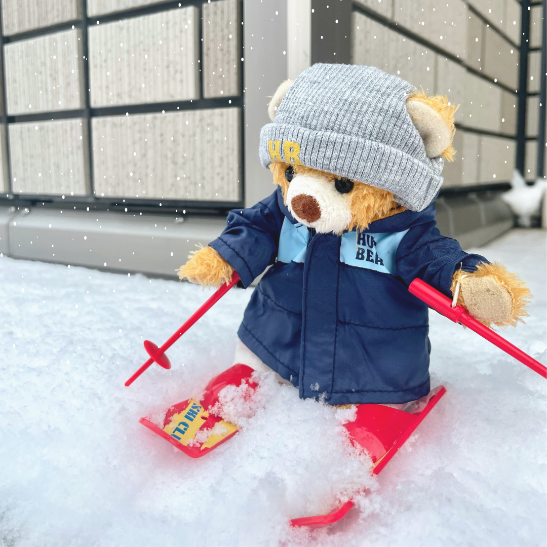Ski boards and poles – TeddyBear Life