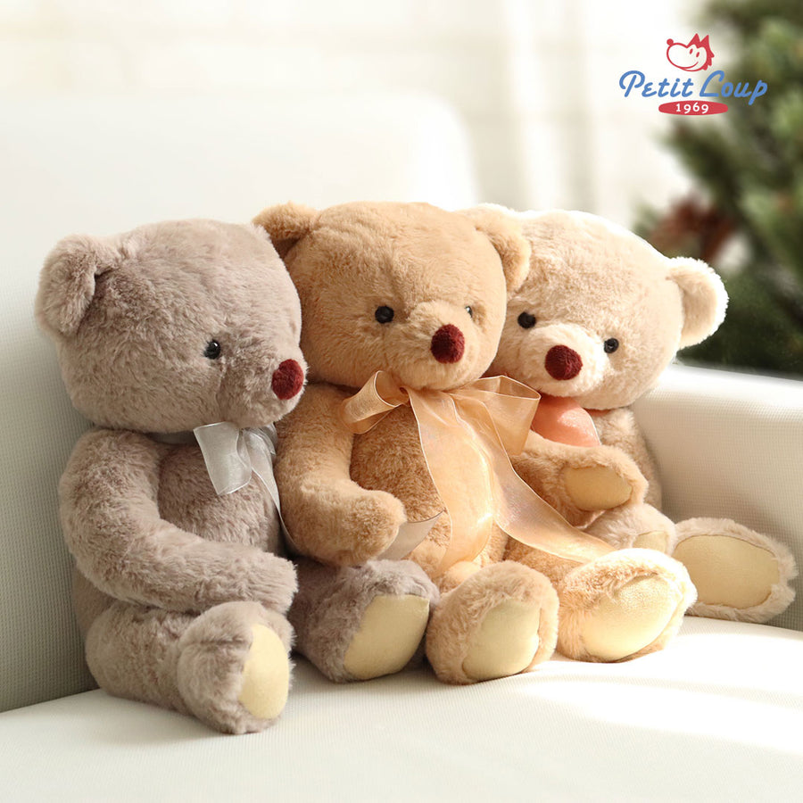 Personalized Teddy Bear Gift, Custom Plush Toys. We Ship Worldwide ...
