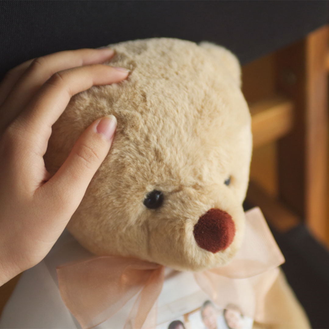 Personalized Print Teddy Bear – Teddy Bear Life