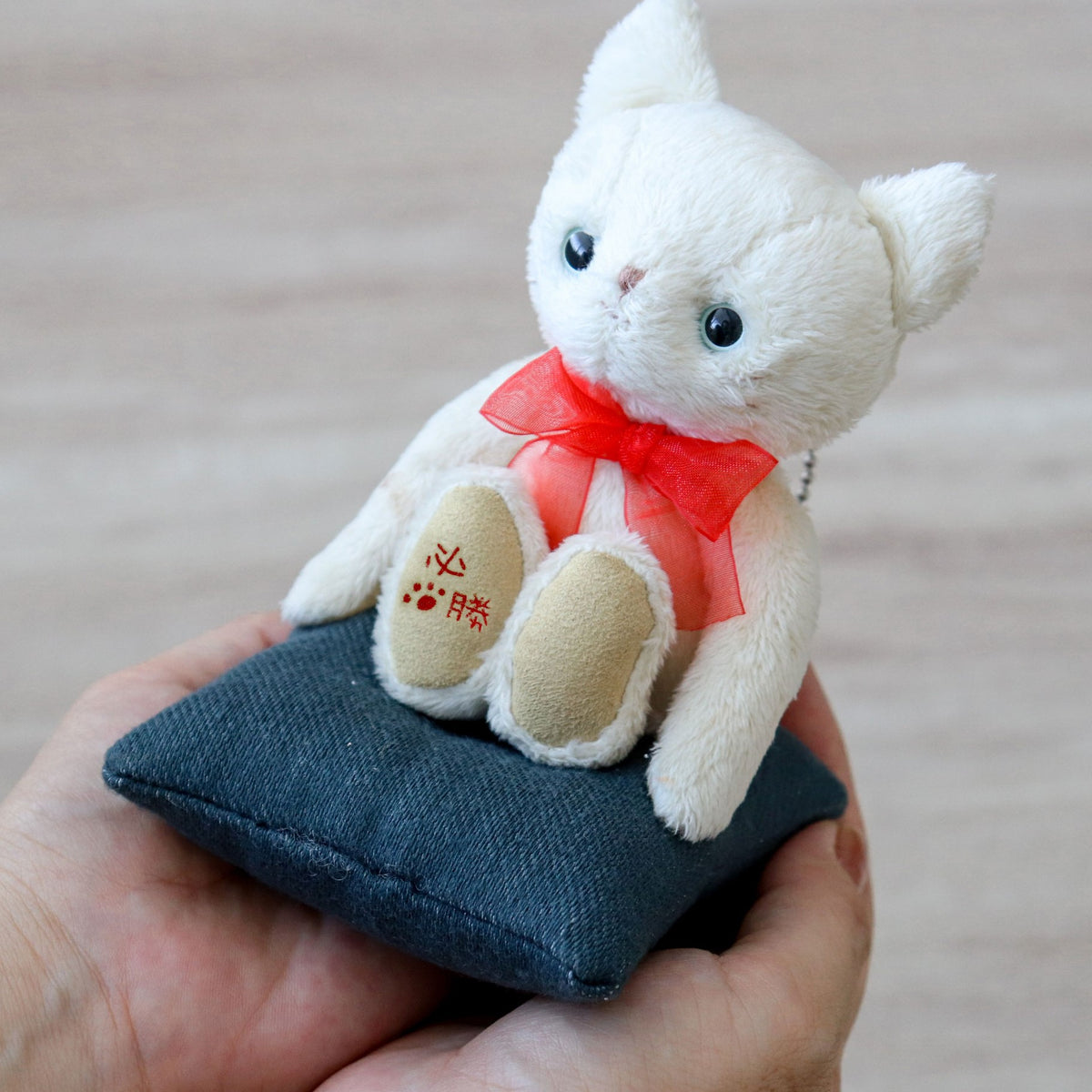 Wishing Success Cat – TeddyBear Life