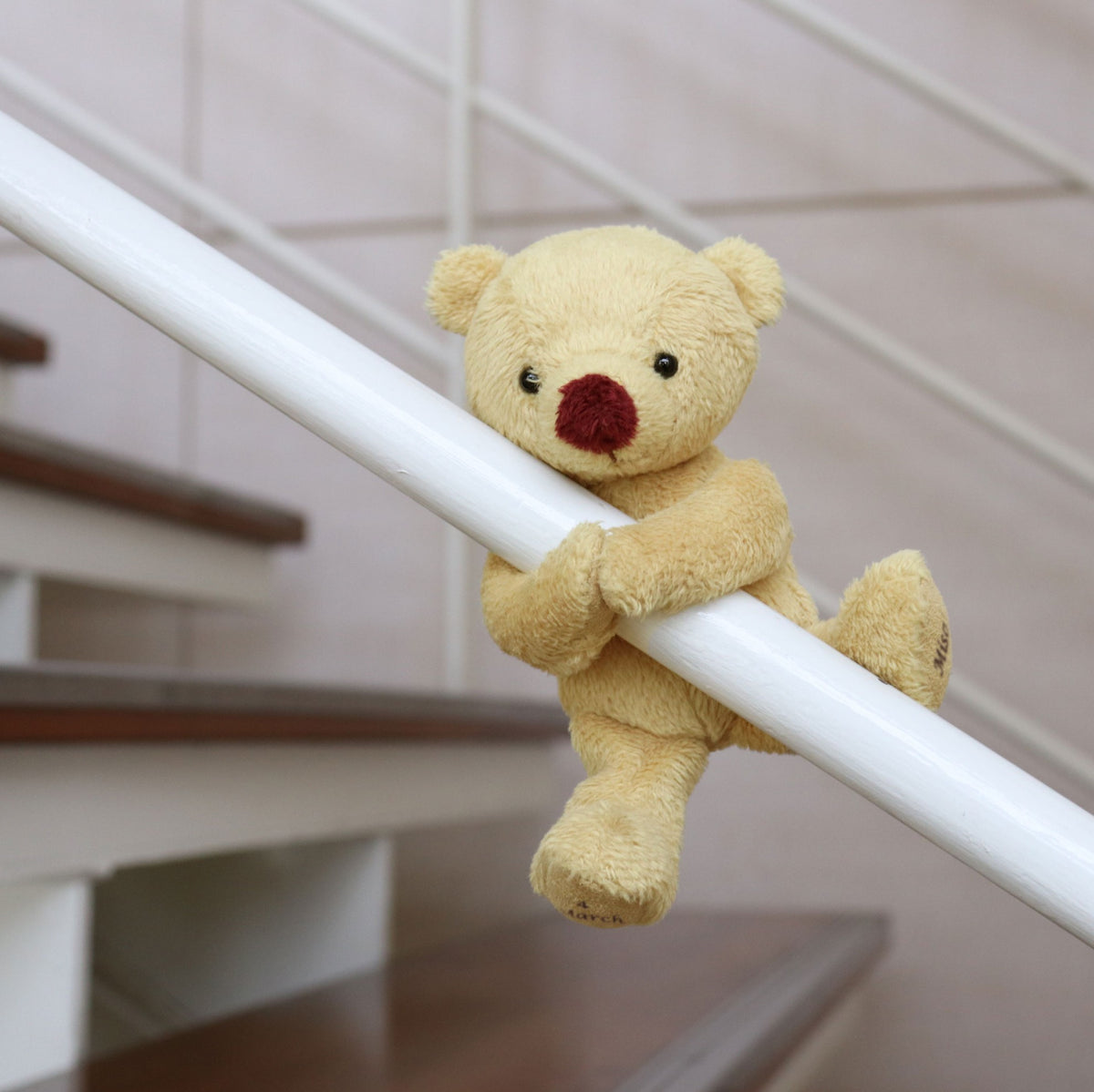Teddy Bear KUU – Teddy Bear Life